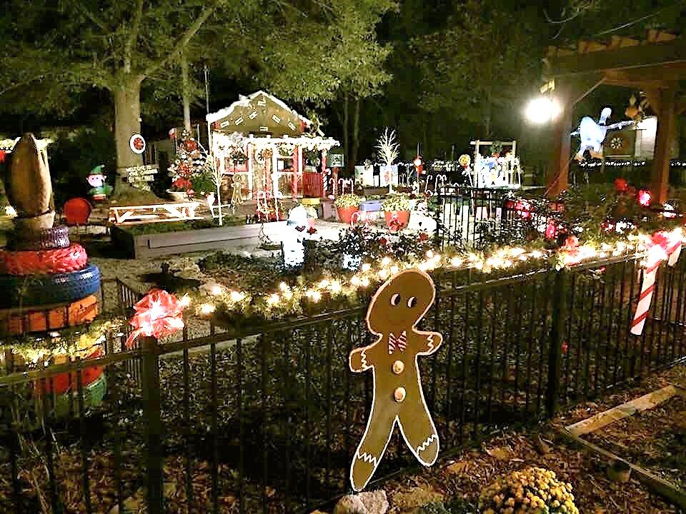 Community Service – The Woman's Club of Clayton